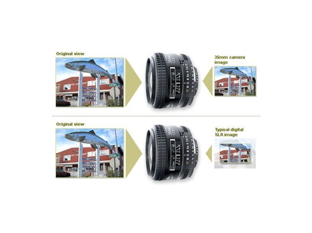 Dx Crop Factor | PPT