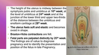 Dx%20of%20pregnancy.pptx