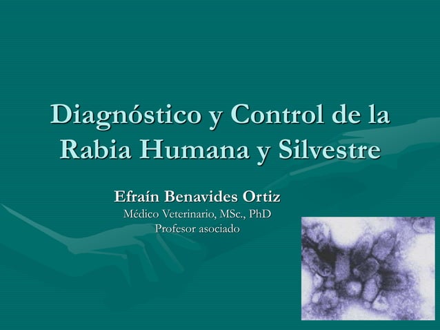Rabia Diagnóstico y Control | PDF