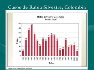 Rabia Diagnóstico y Control | PDF
