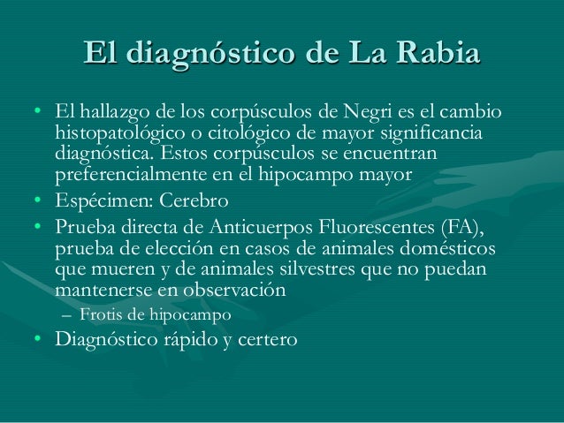 Rabia Diagnóstico y Control