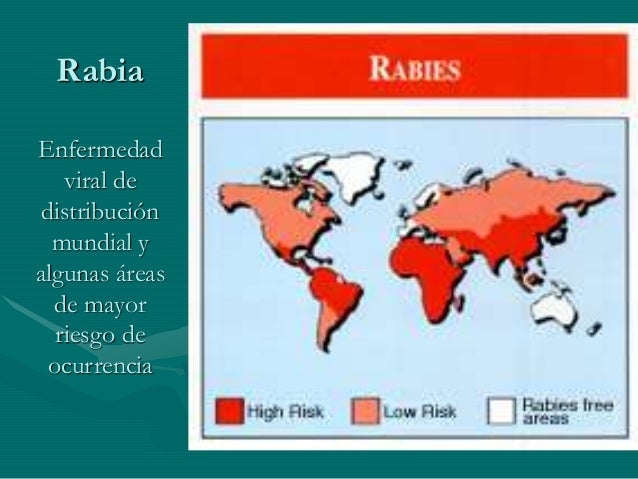 Rabia Diagnóstico y Control