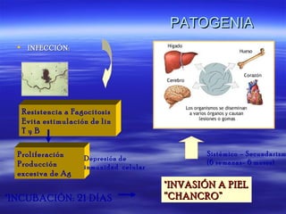 DIAGNOSTICO DE SIFILIS (ANALISIS CLINICO) | PPT