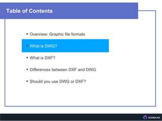 DXF versus DWG: A Comparison of Vector Graphic File Formats | PDF