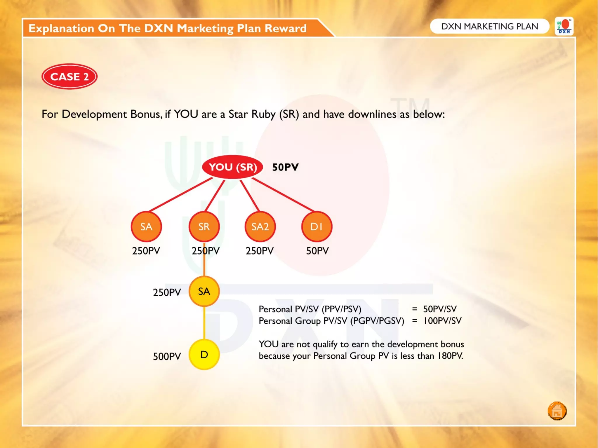DXN Marketing Plan | PPT
