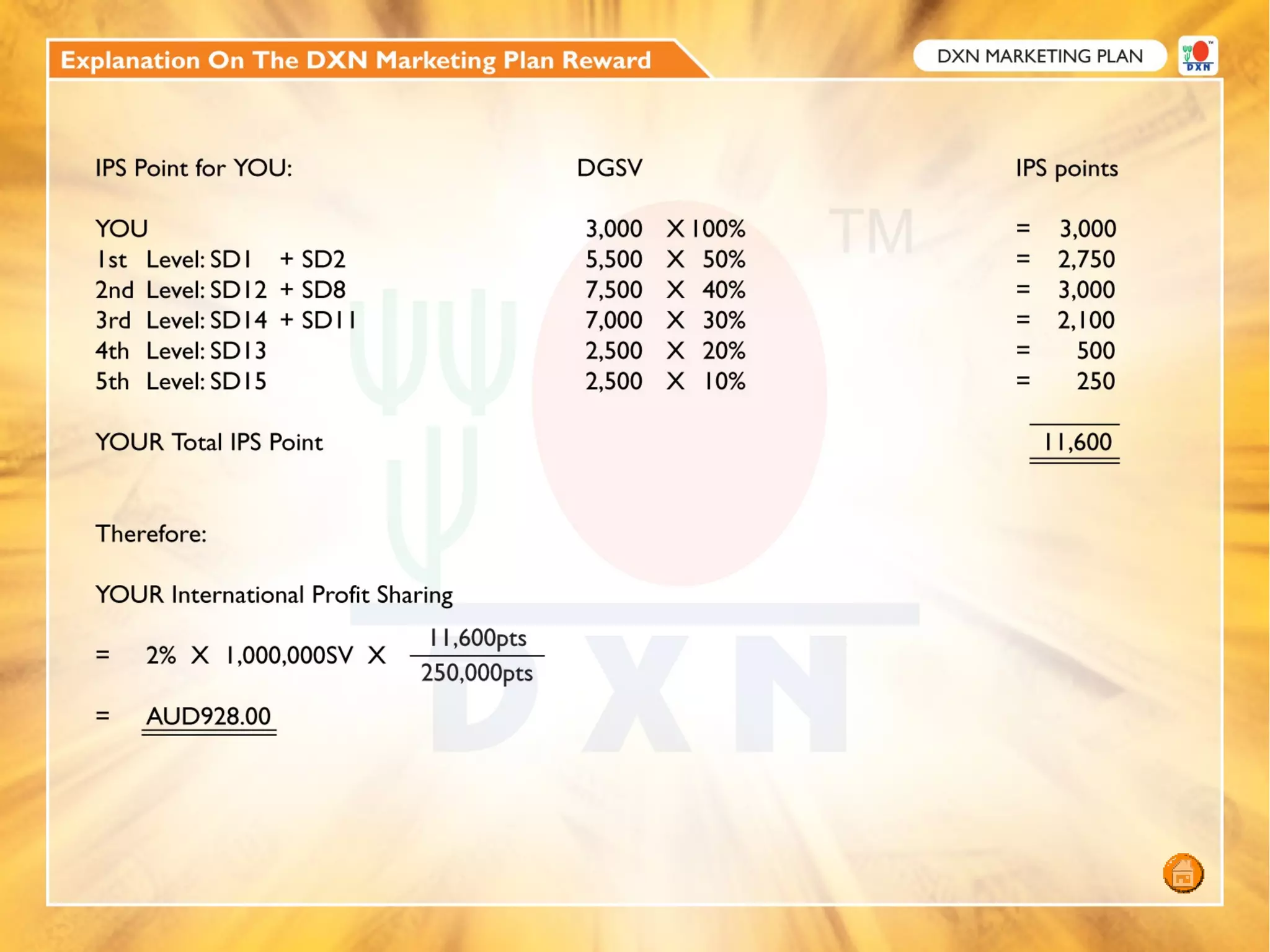 DXN Marketing Plan | PPT