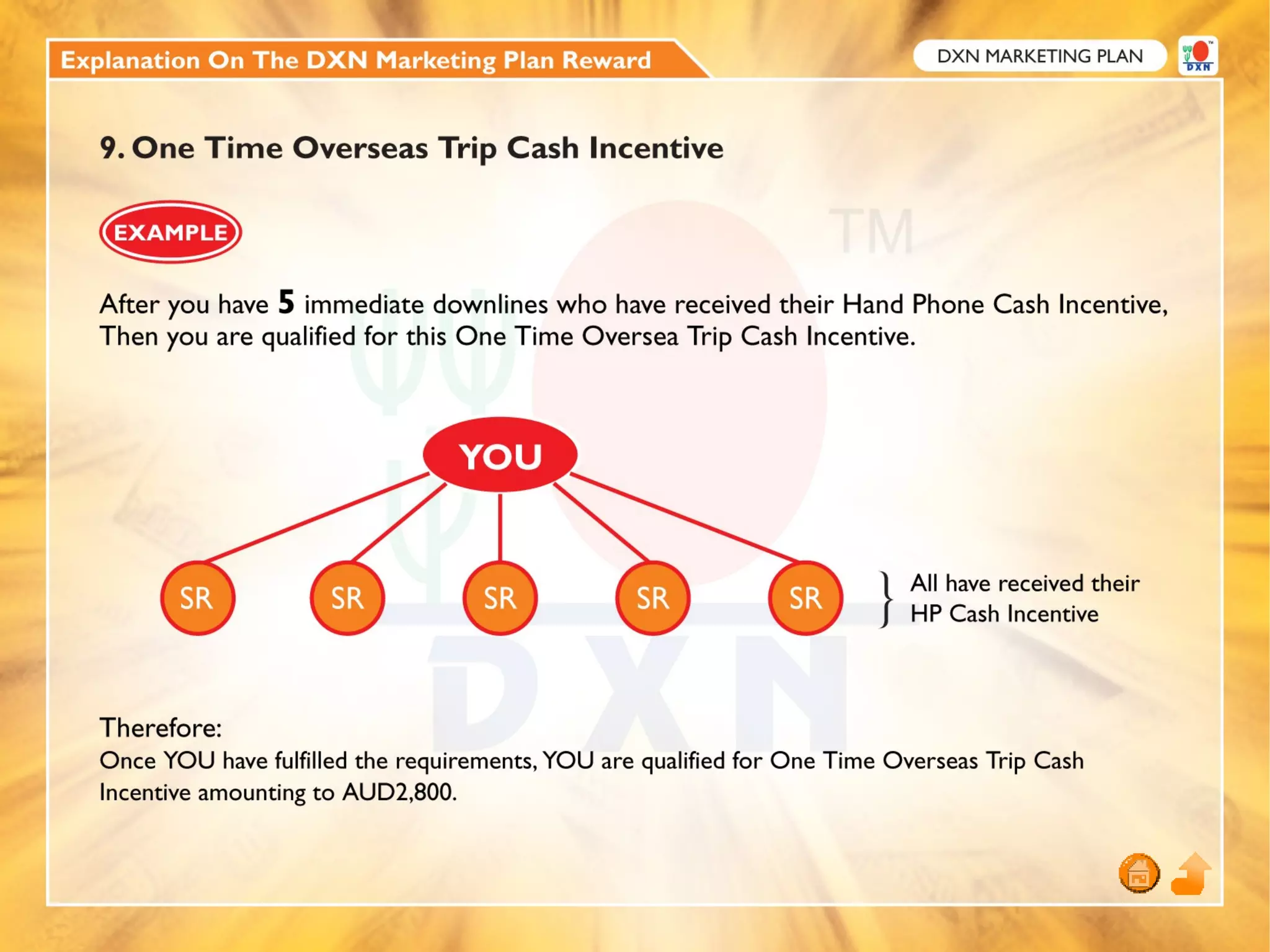 Dxn Business Plan Explained 18.07.07