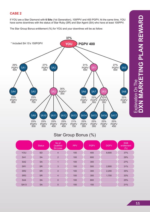 DXN Business Plan | PDF