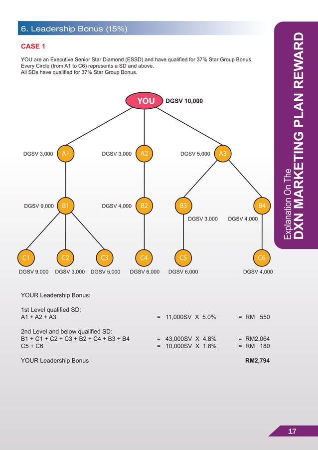 DXN Business Plan | PDF