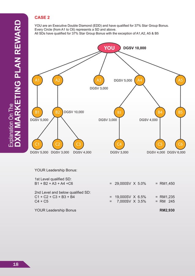 DXN Business Plan | PDF