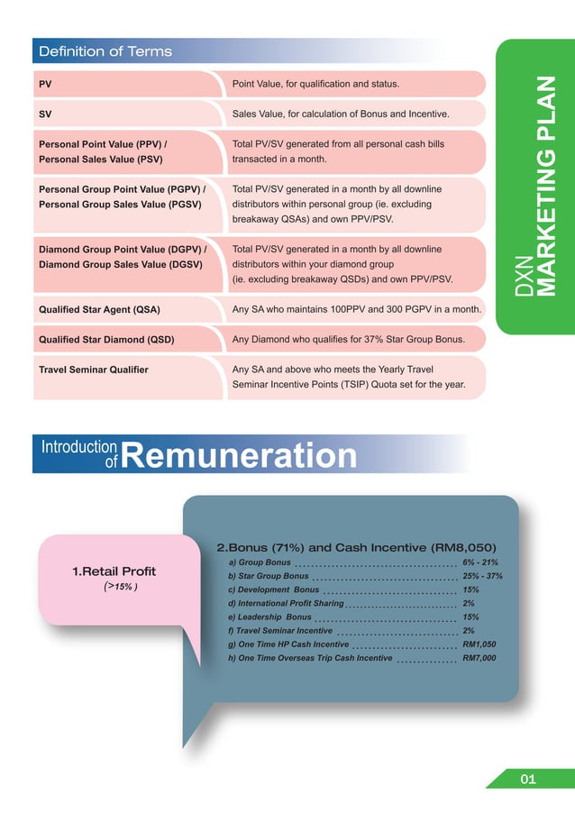DXN Business Plan | PDF
