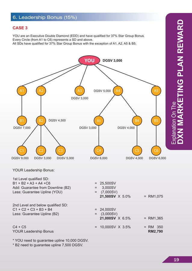 DXN Business Plan | PDF