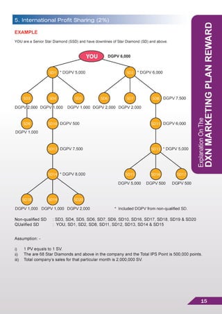 New DXN marketing plan | PDF
