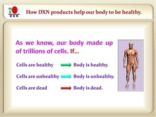 Dxn Business plan | PPT