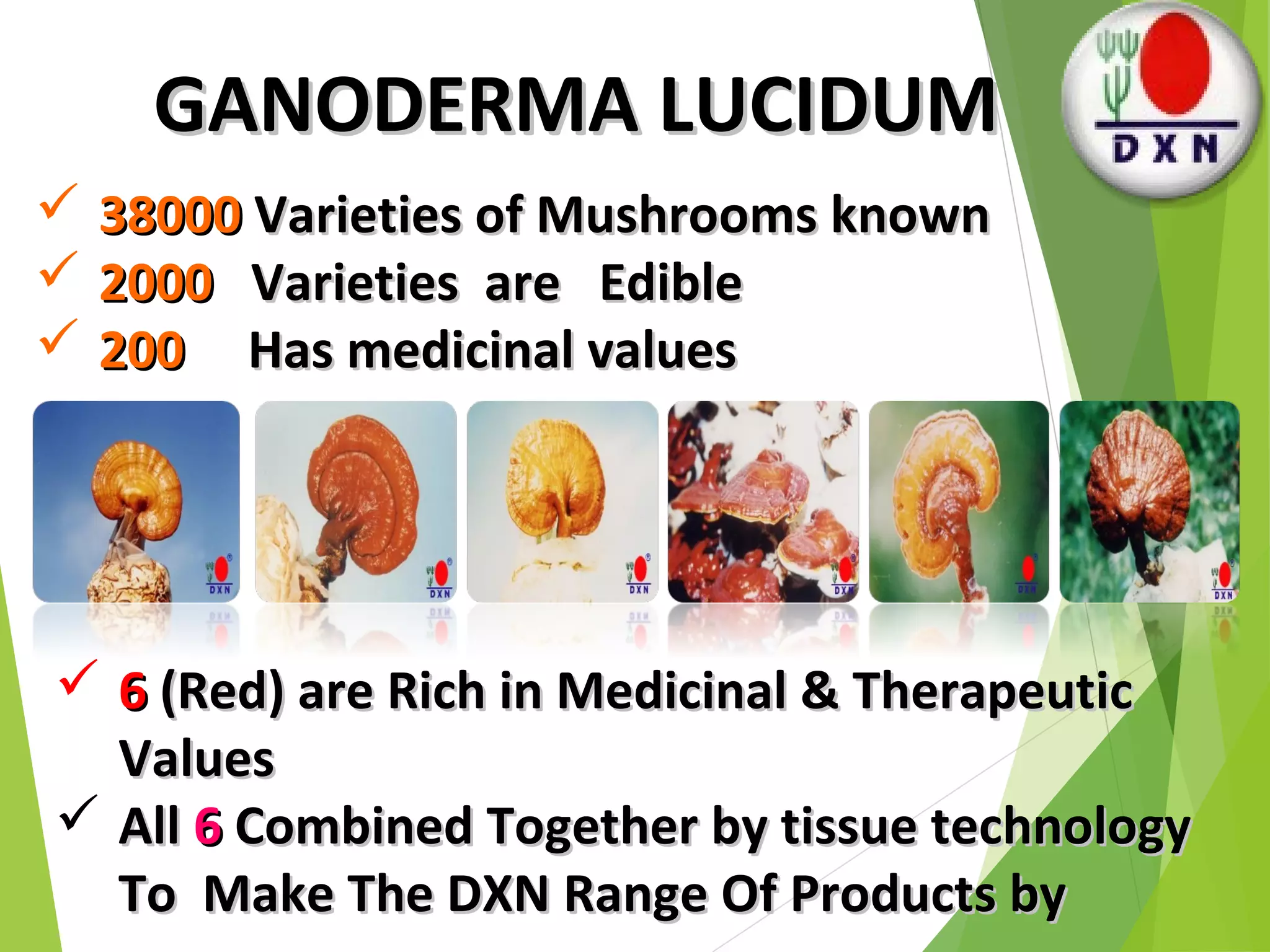 DXN Business Presentation | PPT