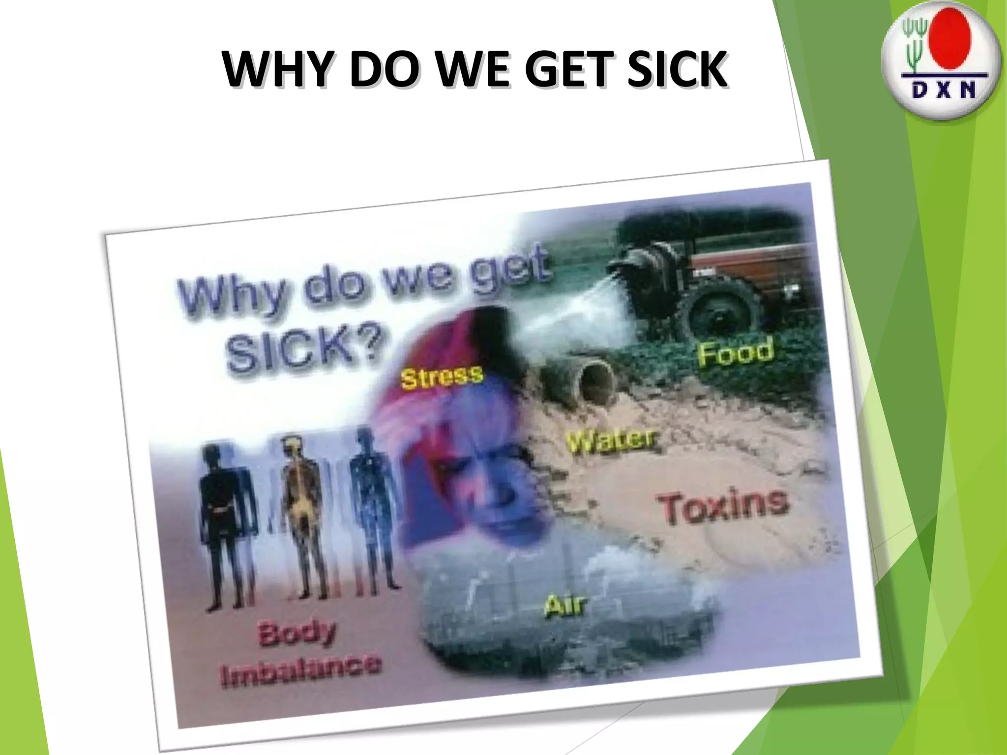 DXN Business Presentation | PPT