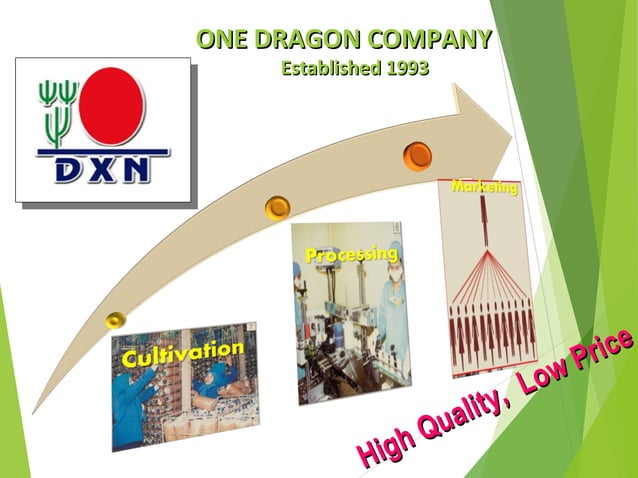 DXN Business Presentation | PPT | Herbs and Supplements | Alternative ...