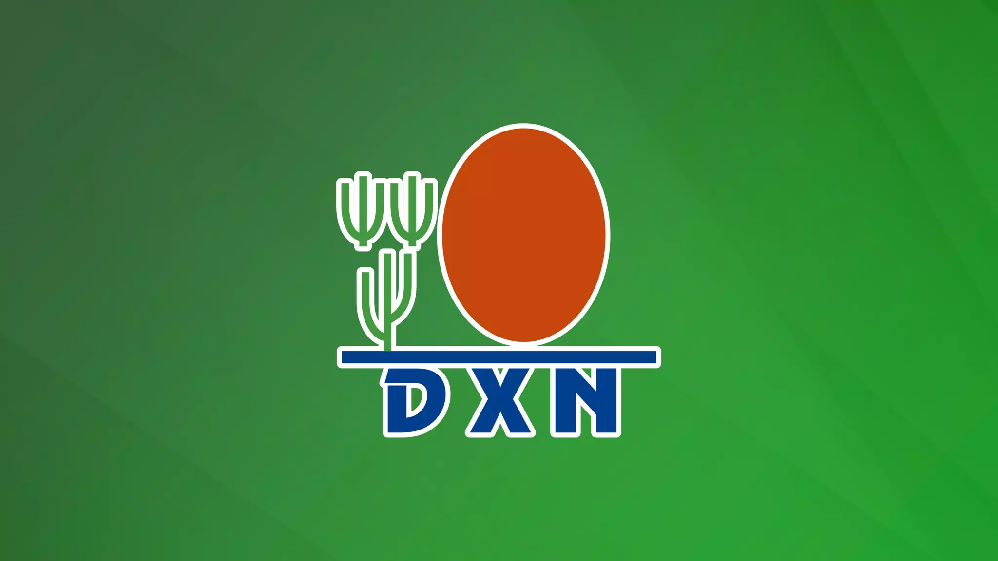 DXN products training: basic knowledge about DXN products | PDF