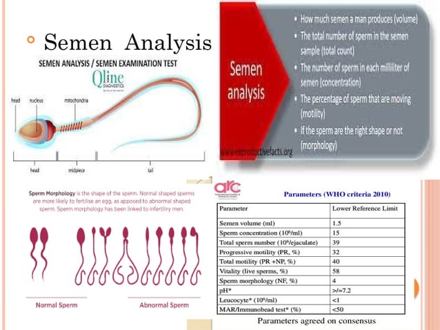 Diagnostic evaluation of Male Reproductive System | PPTX