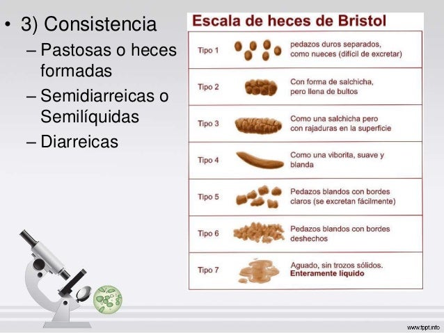 enfermedades infecciosas
