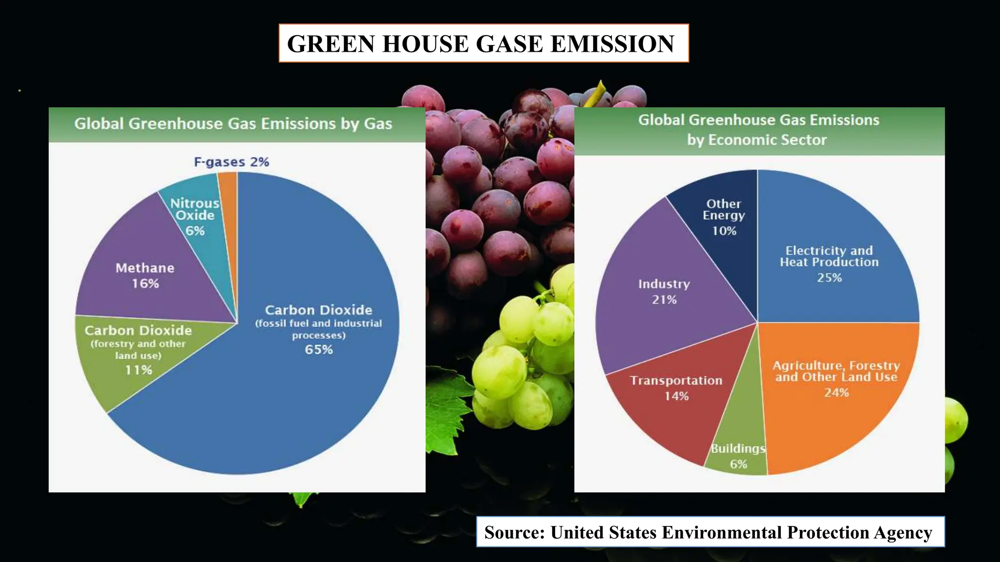 Green House Effect, Methane Emission and its Relevance to Abiotic ...