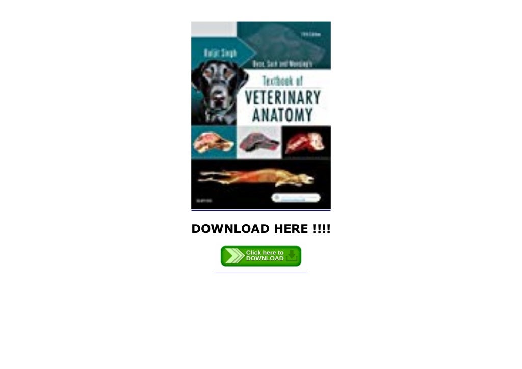 Best Book Dyce Sack And Wensing s Textbook Of Veterinary Anatomy Best Book Dyce Sack And Wensing s Textbook Of Veterinary Anatomy