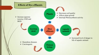 Dye and its impact | PPTX