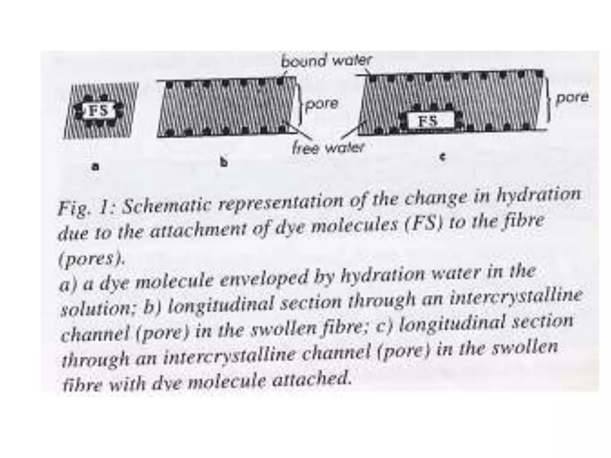 Dyeing kinetics, (diffusion, pore model, free volume model) | PPTX