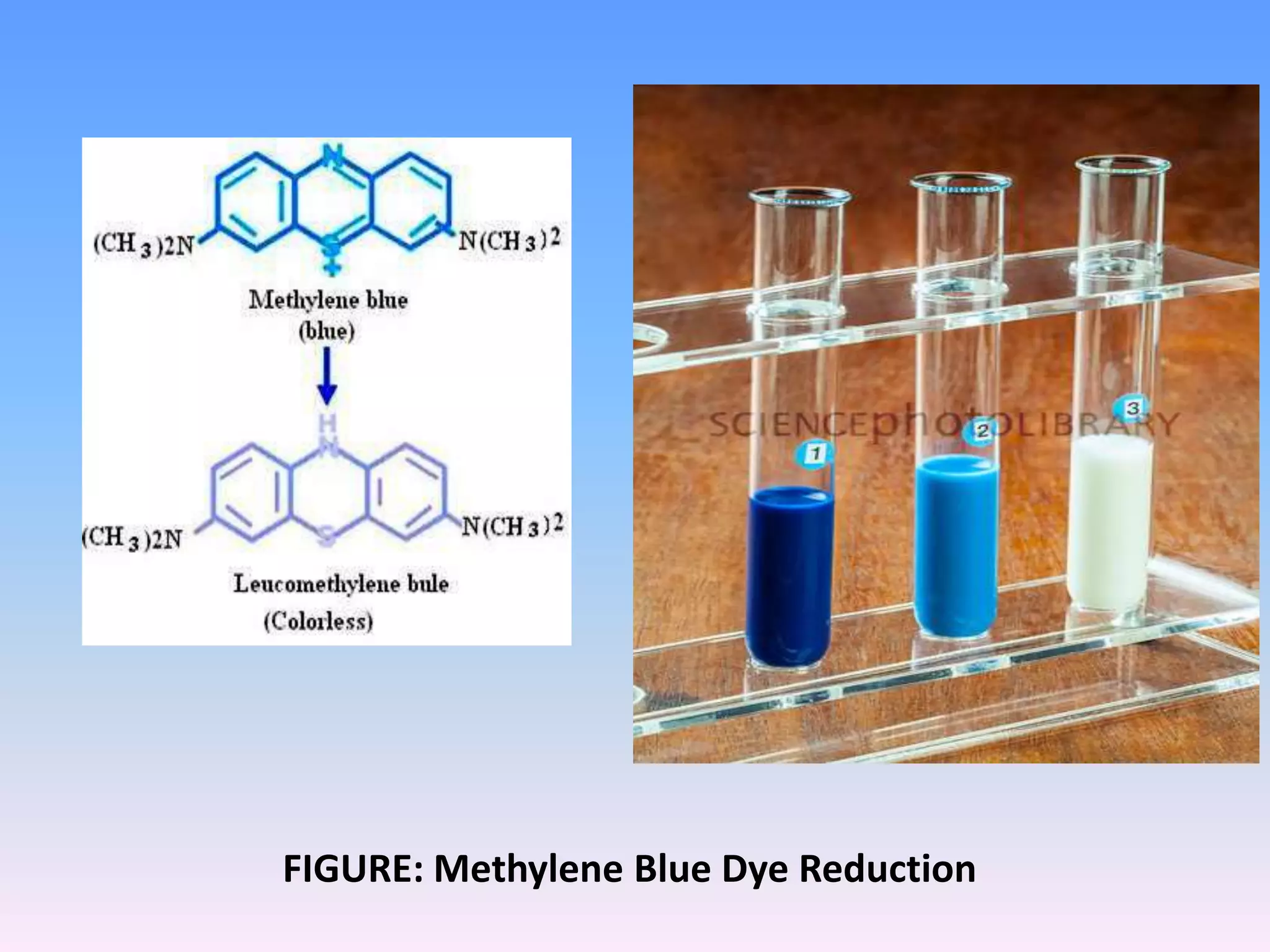 Dye reduction test | PPTX