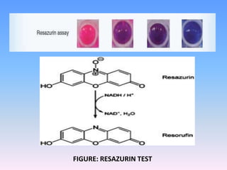 Dye reduction test | PPTX