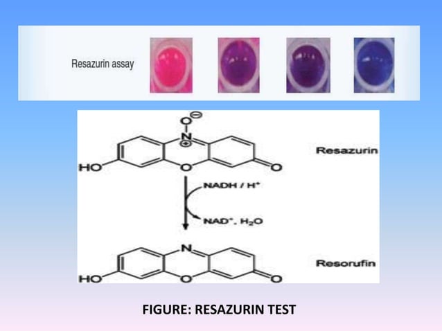 Dye reduction test | PPTX