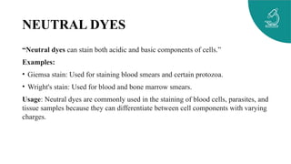 Dyes.pptx that are colored organic compound | PPT