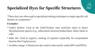 Dyes.pptx that are colored organic compound | PPTX