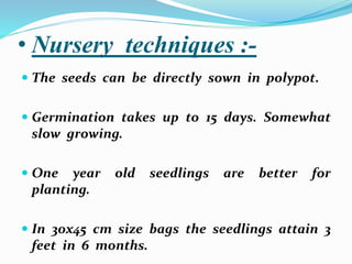 Dyes/ butea monosperma and lowsonia alba | PPTX