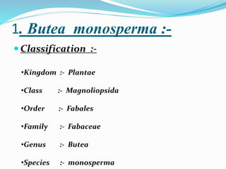 Dyes/ butea monosperma and lowsonia alba | PPTX