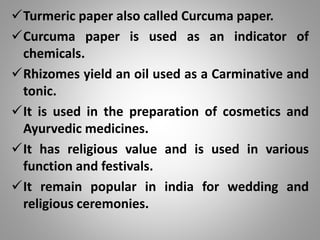 Dyes / termeric and indigo | PPTX
