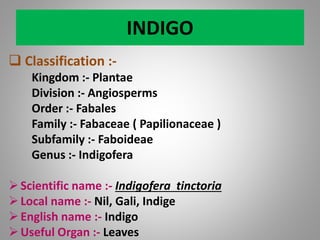 Dyes / termeric and indigo | PPTX