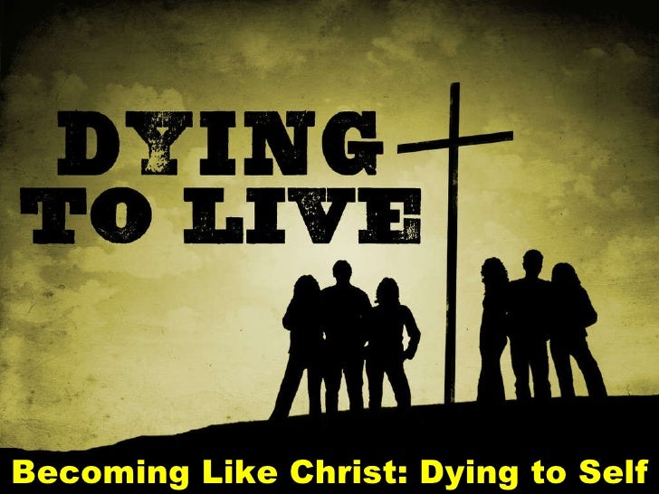 A Pastor's Thoughts | Looking at the Contemplatives and Mystics