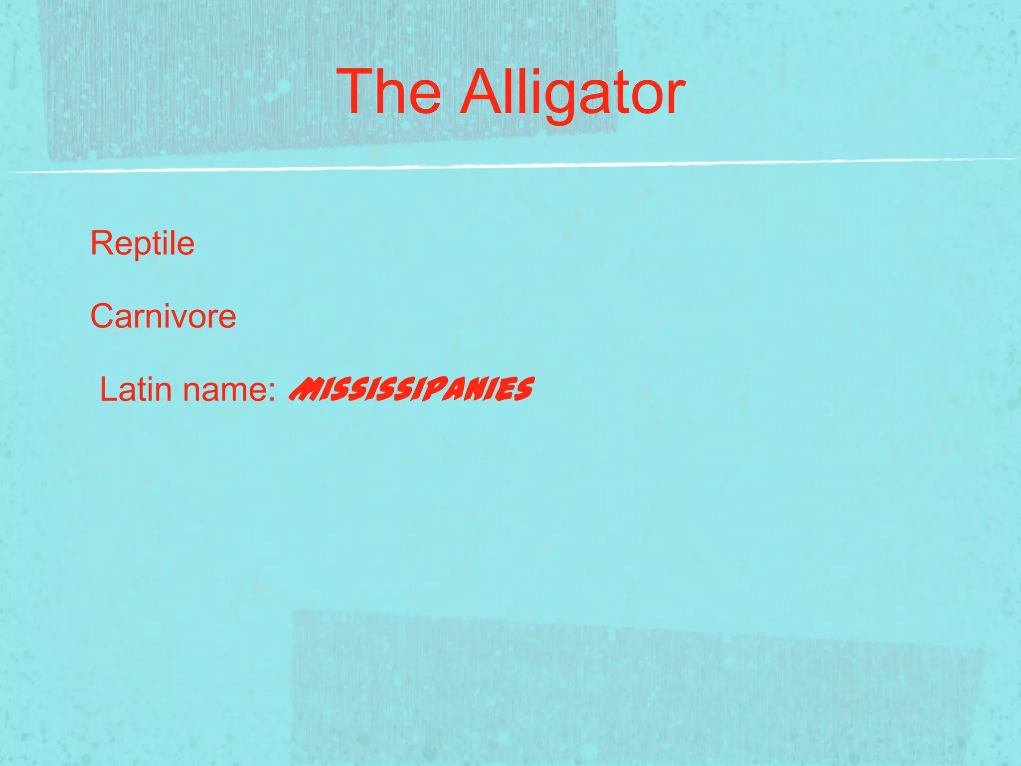 Dylan and jackson animal ppt | PPT