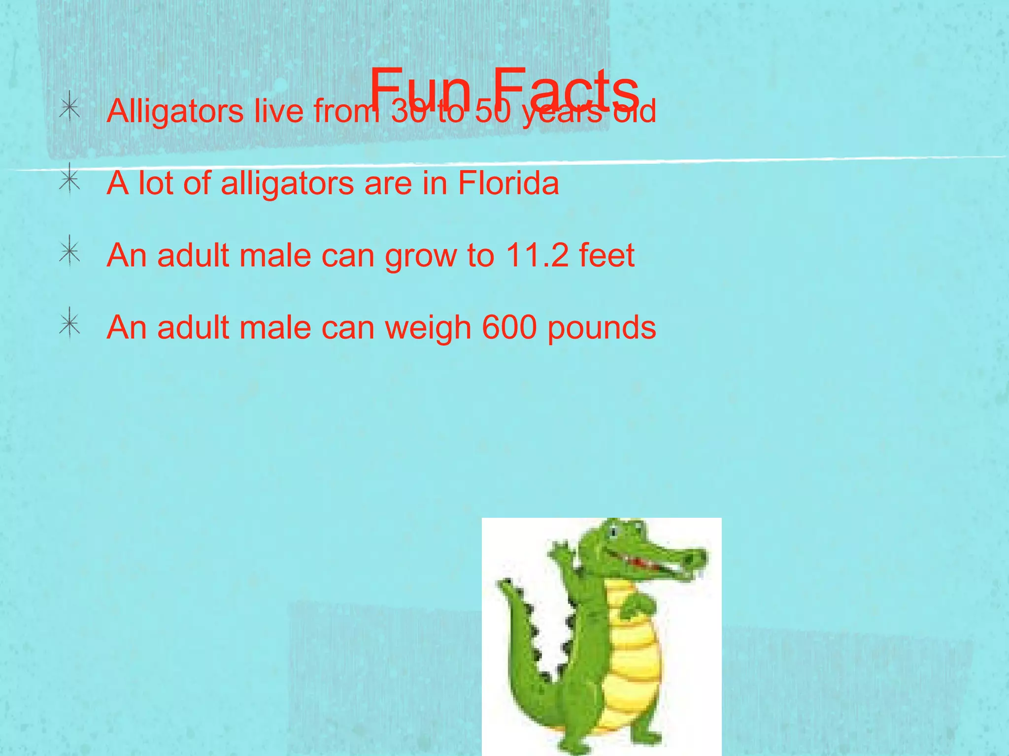 Dylan and jackson animal ppt | PPT