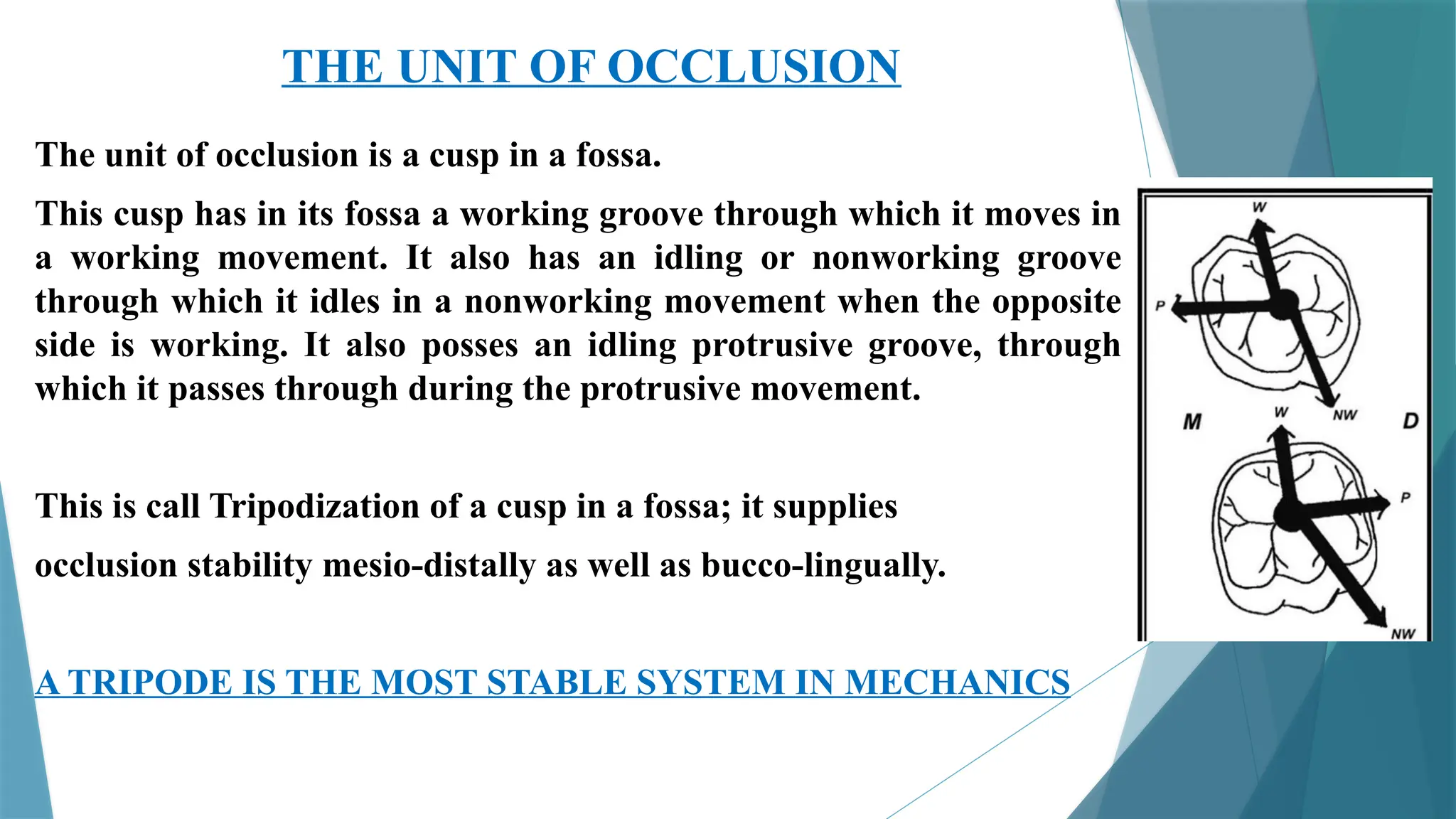 dynamic and static occlusion in fixed prosthodontics.pptx