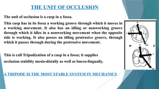 dynamic and static occlusion in fixed prosthodontics.pptx