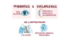 BASICS DYNAMIC AND STATIC RETINOSCOPY... | PPTX