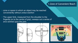 Dynamic anthropometry.pptx