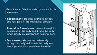 Dynamic anthropometry.pptx