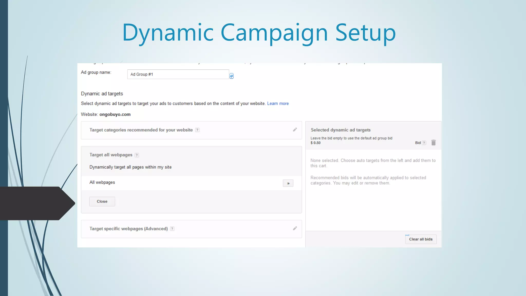Dynamic & call only campaign ppt | PPT