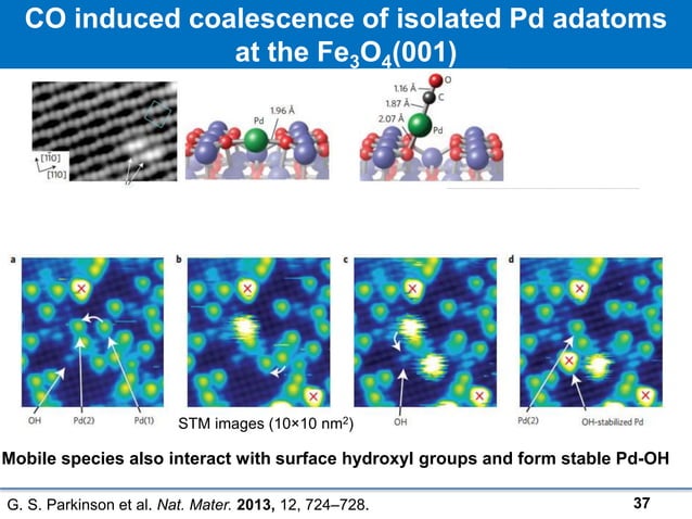 Understanding Dynamic chemistry at the Catalytic Interface | PPT