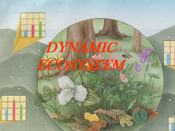 Dynamic Ecosystem