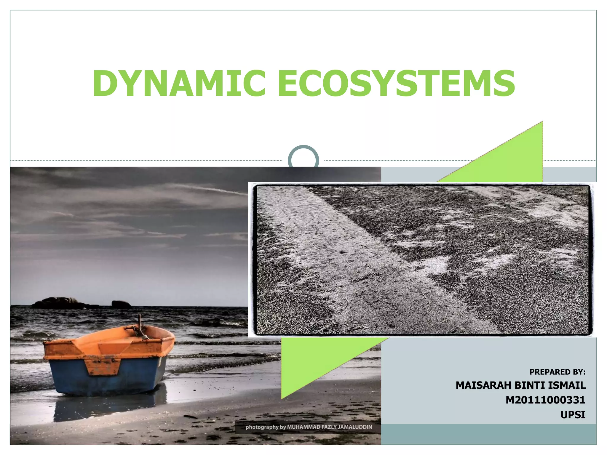 Dynamic ecosystem | PPT