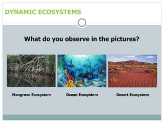 Dynamic ecosystem | PPT
